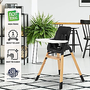 Dream On Me Nibble Wooden Compact High Chair in Black | Light Weight | Portable |Removable seat Cover I Adjustable Tray I Baby and Toddler