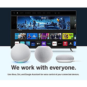 VIZO 32-inch D-Series Full HD 1080p Smart TV with Apple AirPlay and Smartcast, Alexa Compatibility, 2021 Model - D32f4-J01 (Renewed)