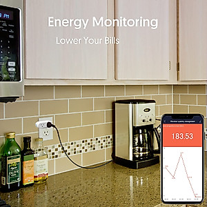 Smart Plugs That Work with Alexa Google Home Siri, Wireless 2.4G WiFi Outlet Controlled by Smart Life Tuya Avatar Controls APP, 10A Mini Socket Enchufe Inteligente with Timer, Dual, 2 Pack