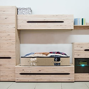 Underbed Storage Container / Closet Organizer/ Storage Bins For Underbed Storage or Bedroom Organization | 4 Handles & 4 Windows | 2 Pack |