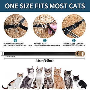 Flea Collar for Cats, 4 Pack Cat Flea and Tick Collar 32 Months Cat Flea and Tick Prevention Collars, Waterproof Adjustable Cats Flea Collar Kitten, Tick and Flea Treatment Collar for Cat, Black