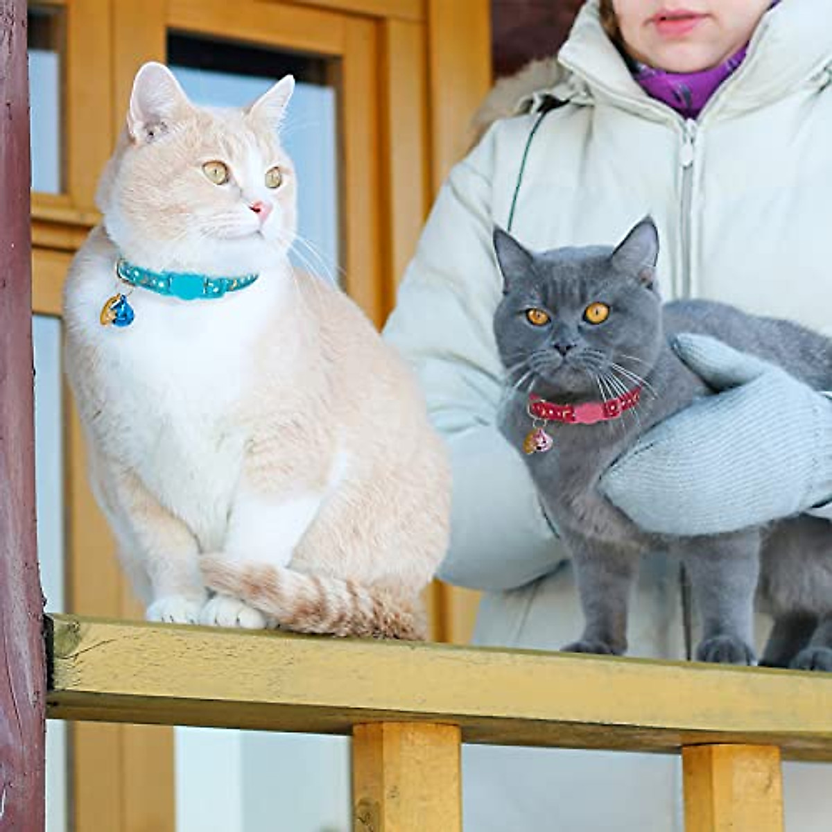 KOOLTAIL Cat Collar Breakaway with Bells - 6 Pack Glow in The Dark - Stars & Moon Charm Pendent Pet Reflective Collars Ideal for Kitten Cats Puppy