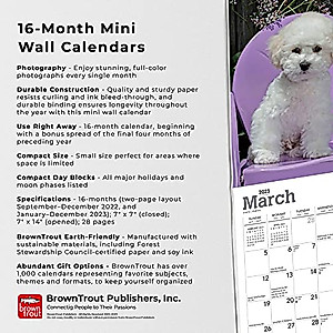 Bichon Frise Puppies | 2023 7 x 14 Inch Monthly Mini Wall Calendar | BrownTrout | Animals Dog Breeds Puppy DogDays