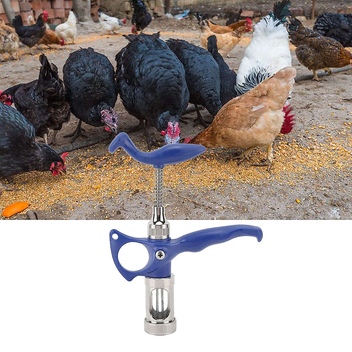 Jeanoko Livestock Syringe Chicken Pox Needle Type 136 5ml Syringe Stainless Steel Chicken Pox Vaccine Syringe Inoculator for Home Farm