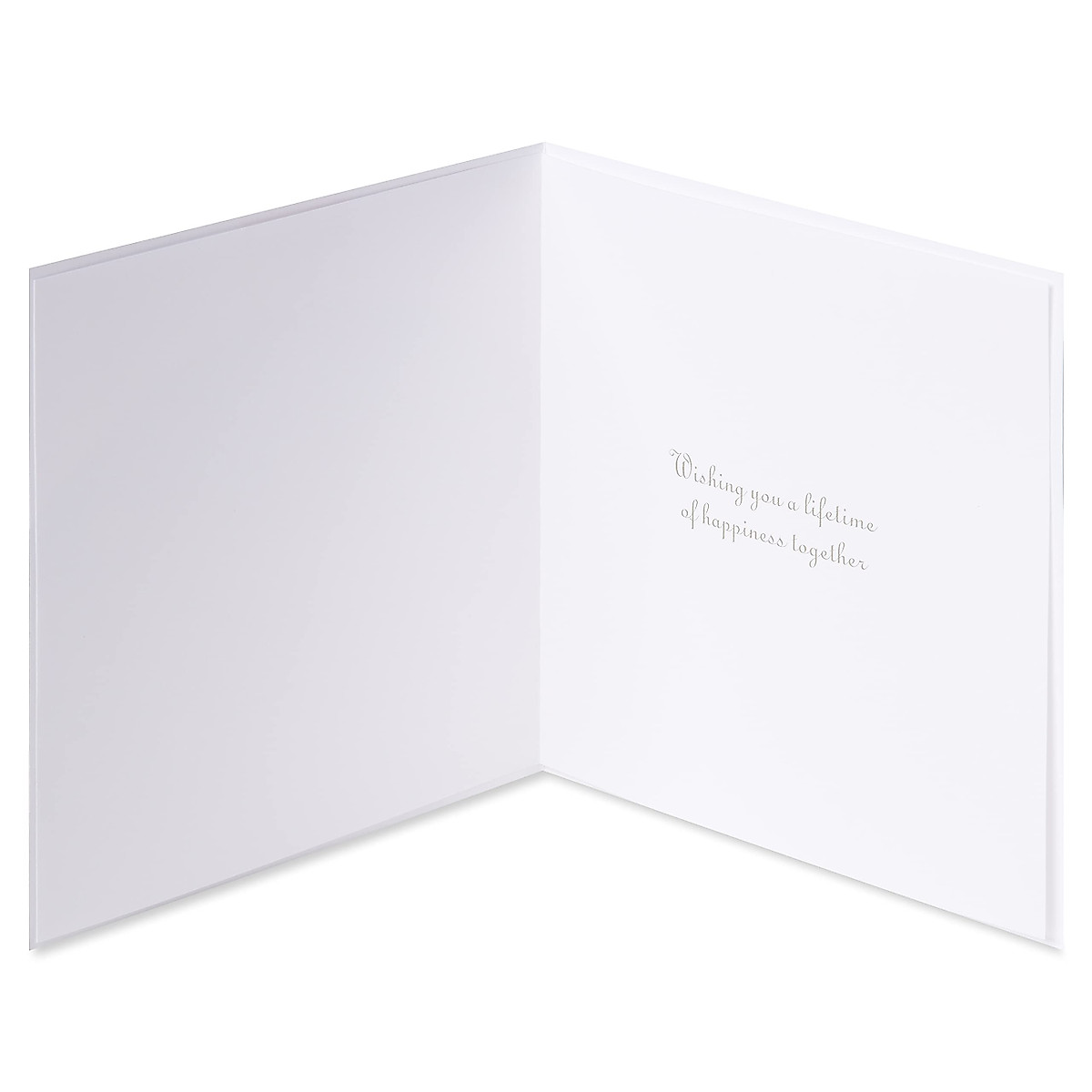 Papyrus Wedding Shower Card (Lifetime of Happiness)