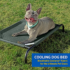 COOLAROO The Original Cooling Elevated Dog Bed, Indoor and Outdoor, Small, Grey