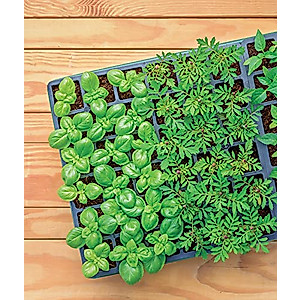Burpee XL Self-Watering Growing System Indoor Seed Starting 10" W x 20" L x 5" H, 1 Kit (32 Cells)