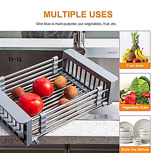 MSAAEX Expandable Dish Drying Rack, Over Sink Dish Drying Rack , Draining Dishes & Fruit Drain- Rustproof Stainless Steel for Kitchen, Rugged Sink Drain Rack (Gray)