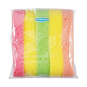 VORCOOL 5 Pcs Car Wash Sponges Bone Design for Polishing Porous Car Wash Sponges