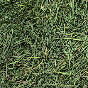 Rabbit Hole Hay - Ultra Premium Soft Orchard Grass for Small Pets - 4 oz Bag - Fresh & Soft