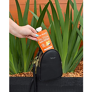 Designer Wellness Protein Smoothies Original Variety Pack & Super Fruits Variety Pack Bundle