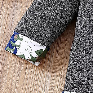 Viworld Toddler Baby Boy Clothes Infant Long Sleeve Hoodie Tops Dinosaur Print Pants Fall Winter 2pcs Outfit Set (Grey, 3-4T)