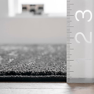 nuLOOM Arlena Vintage Traditional Area Rug - 3x5 Accent Rug Modern/Contemporary Black/Grey Rugs for Living Room Bedroom Dining Room Entryway Kitchen