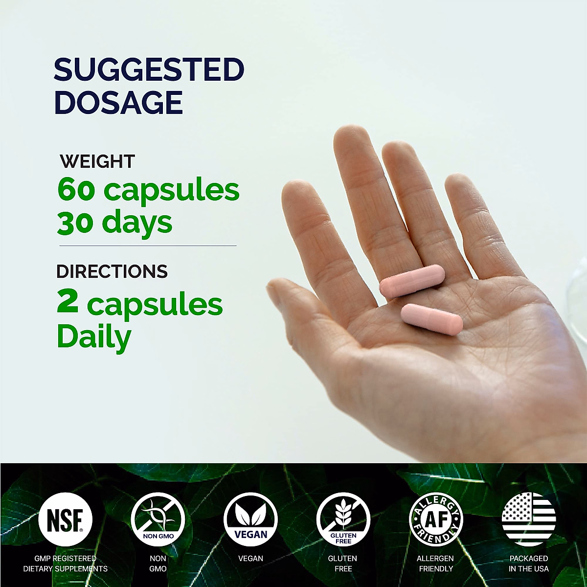 KORESELECT Cranberry 17,000mg with Dandelion & Vitamins, UTI Relief, Antioxidant Supplement, Immune Support, Bladder Health for Women & Men 60 Vegan Capsules