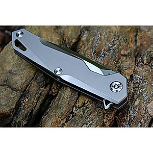 Twosun TS21 Pocket Knife D2 Blade Titanium Handle Drop Point Razor sharp
