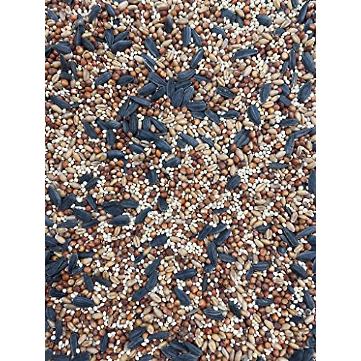 English Creek Supply Corn Free Special Mix Wild Bird Seed (40 Lb Bag)