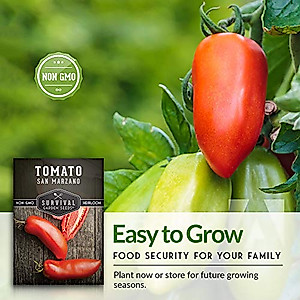 Survival Garden Seeds - San Marzano Tomato Seed for Planting - Packet with Instructions to Plant and Grow Tomatoes in Your Home Vegetable Garden - Non-GMO Heirloom Variety - 4 Packs