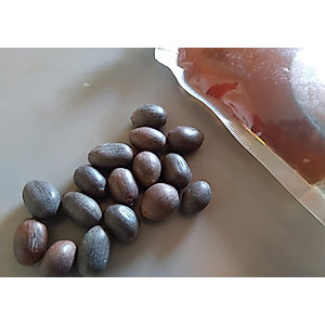 15 Lotus Seeds - Grow in Koi Ponds, Ponds, Grow in a Bowl as Bonsai - Water Lily Grow Very Easy - Ships from Iowa, USA