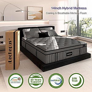 Lechepus Queen Mattress, 14Inch Plush Soft Memory Foam Hybrid Mattress, Queen Size Memory Foam with Pocket Spring Mattresses, Supportive Mattress in Box for Pressure Relief, CertiPUR-US, 10 Years