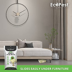 Roach Trap – 20 Pack | Sticky Indoor Glue Traps for Roaches and Other Bugs and Crawling Insects | Adhesive Cockroach Motel, Bait Trap, Monitor, Killer and Detector for Pest Control