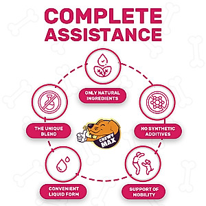 Glucosamine for Dogs Hip and Joint Supplement Liquid | Liquid Glucosamine for Dogs | Dog Joint Supplement Liquid | Glucosamine Liquid for Dogs | Large & Small Dog Joint and Hip Supplement | 3 Bottles