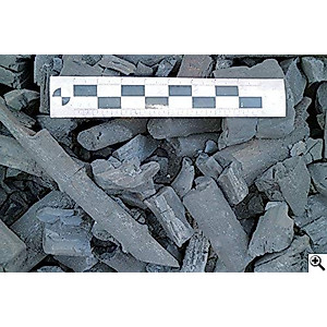 Original Natural Charcoal - 100% Natural Hardwood Lump Charcoals - Unique Blend of Apple, Cherry, and Oak Trees - No Smoke, No Sparks, and Low Ash (17.6lbs)