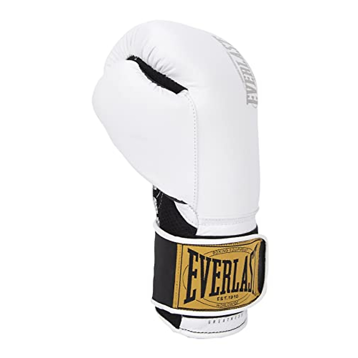 Everlast P00001710 1910 Classic Training Glove White 14OZ