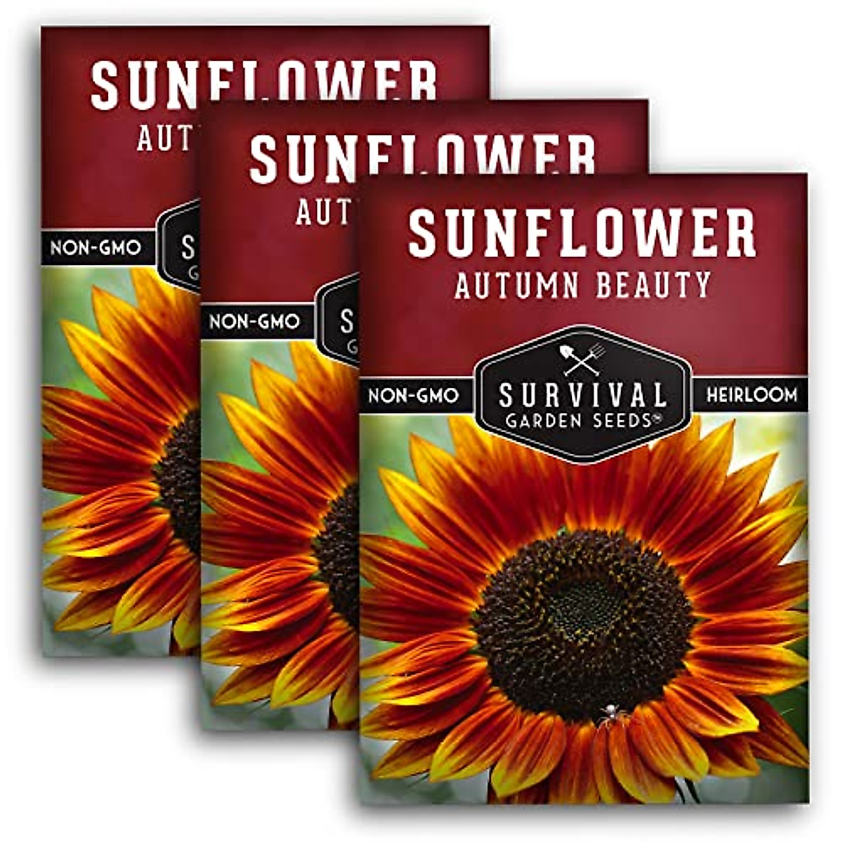 Survival Garden Seeds - Autumn Beauty Sunflower Seed for Planting - 3 Packs with Instructions to Plant and Grow Beautiful and Colorful Flowers in Your Home Vegetable Garden - Non-GMO Heirloom Variety