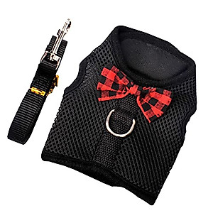 Mipcase 1 Set Harness Rope Breathable of Supplies Guinea Chinchilla Type Training M Pet Walking Animal Harnesses Puppy Straps Cat Chest Back Leash Squirrel Rabbit Strap Small for Outdoor
