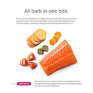 Pet Parents® Allergy SoftSupps® Immune Support for Dogs with Omega 3 Fish Oil for Dogs & Probiotics for Dogs for Dog Itch Relief & Dog Immune Support, Dog Allergy Chews for Itch Relief for Dogs, 90ct