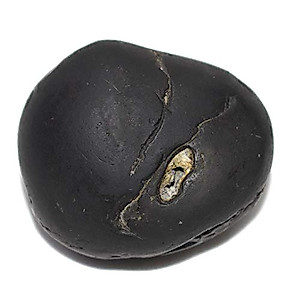 Rudrakshguru Janardhana Shaligram - Gandaki River Nepal