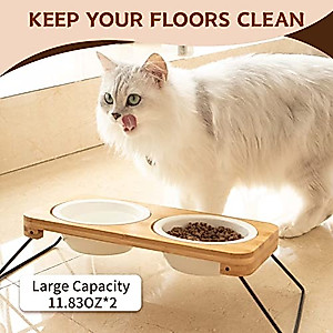 PLUROOF Ceramic Elevated 15°Tilted Cat Bowls, Food and Water Feeding Dishes Bowls, Non-Slip Metal Frame Stand Feeder for Small Size Dogs