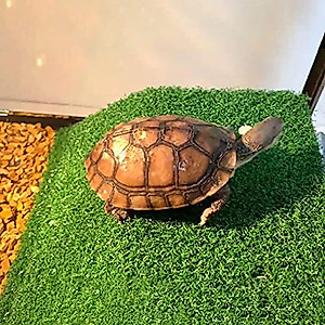 HIERYAN Turtle Basking Platform, Tortoise Ramp Reptile Tank Ladder Resting Terrace, Tortoise Ramp Reptile Ladder Resting Terrace Fish Tank Aquarium Turtle Dock Floating Décor