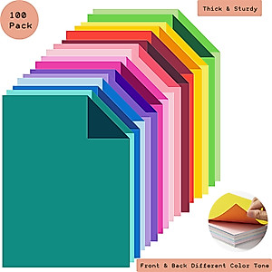 Livholic 100 Pack Heavy Colored Paper Cardstock Front Back Different Color Codes Colorful Cardstock 250GSM for DIY Art, Scrapbook, Paper Crafting,School Supplies (100)