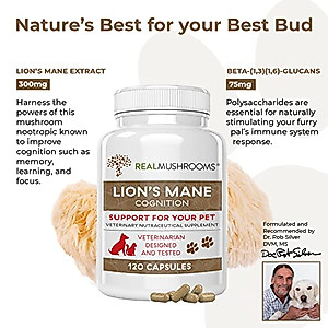 Real Mushrooms Lions Mane for Humans (120ct) and Pets (120ct) - Bundle for Cognition & Immunity - Vegan, Non-GMO, Gluten-Free, Grain-Free Mushroom Extract Supplements