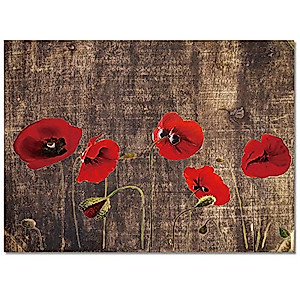 Indoor Area Rugs, Poppy Flower Wooden Background Non-Slip Rubber Backing Rug, Non-Shedding Floor Carpet Washable Throw Rug for Living Room Bedroom Dining Home, 4' x 6'