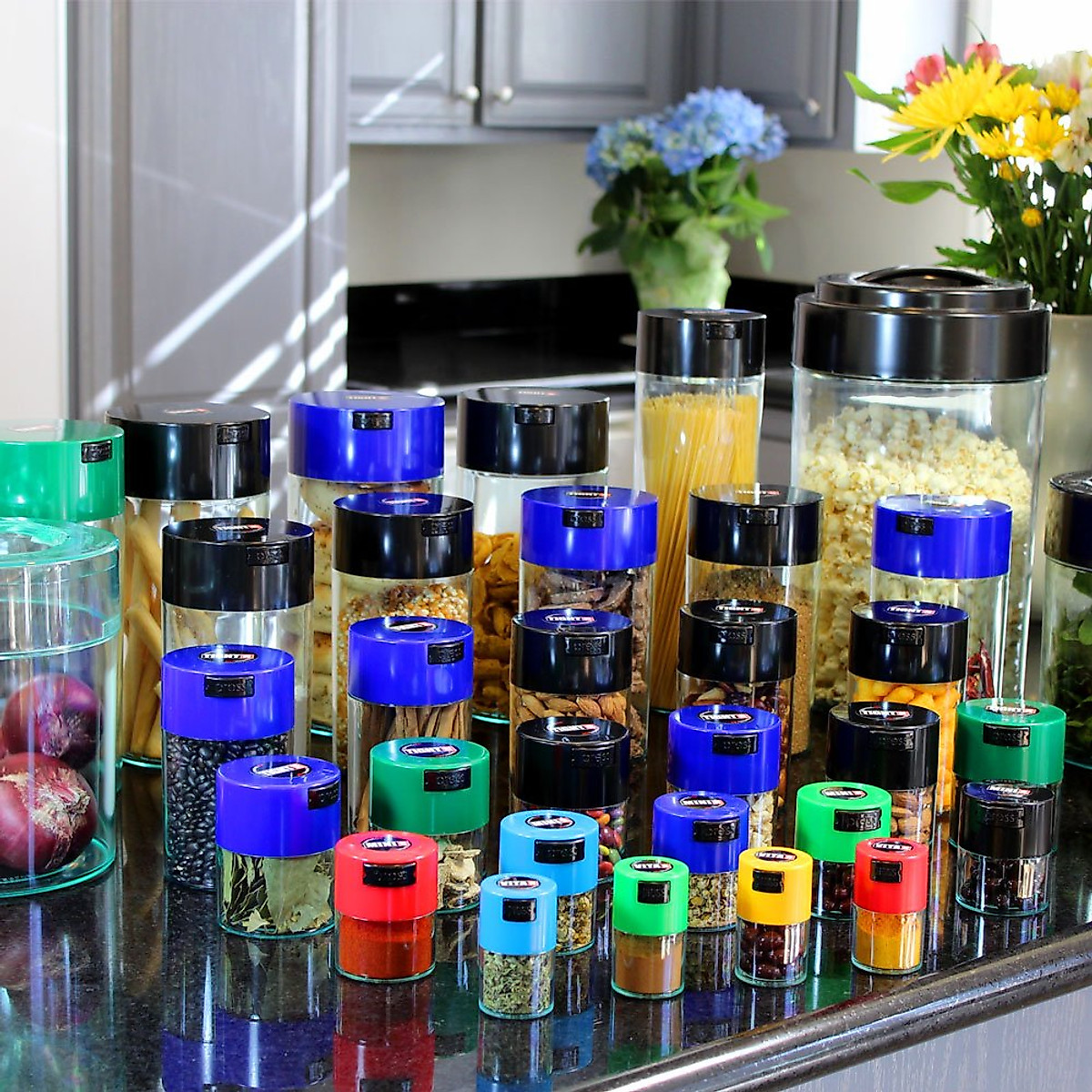 Minivac - 10g to 30 grams Vacuum Sealed Container - D Blue Cap & Black Body