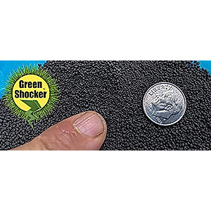 The Andersons Green Shocker 7-1-2 Fertilizer with Humic DG 16 lb Bag