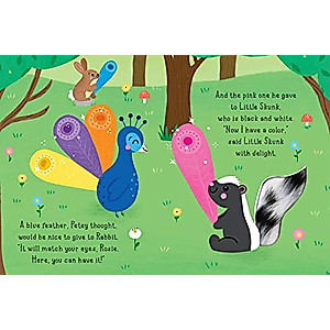 Peacock's Rainbow Feathers - Touch and Feel Board Book - Sensory Board Book