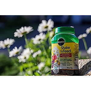 453g Shake n Feed All Purpose Plant Fertilizer