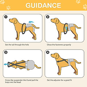 3 Pack Avont Washable Female Dog Diaper with Suspender, Reusable Girl Doggie Diapers for Small Medium Large Doggy in Heat Cycle Period Incontinence -XL