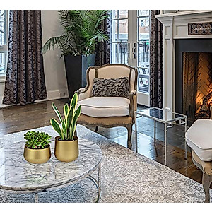 Vixdonos Gold Metal Flower Pots Brass-Toned Garden Planters, 7.1/6.3 Inch Indoor Round Succulent Containers, Pack 2 Cactus Plant Pots with Drainage Hole