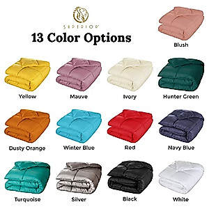 SUPERIOR Down Alternative All Season Comforter, Medium Fill Weight, Perfect for Winter and Summer, Bedding for Bed, Breathable and Comfortable Bedding Duvet Inserts & Bed Sets, Full/Queen, Turquoise