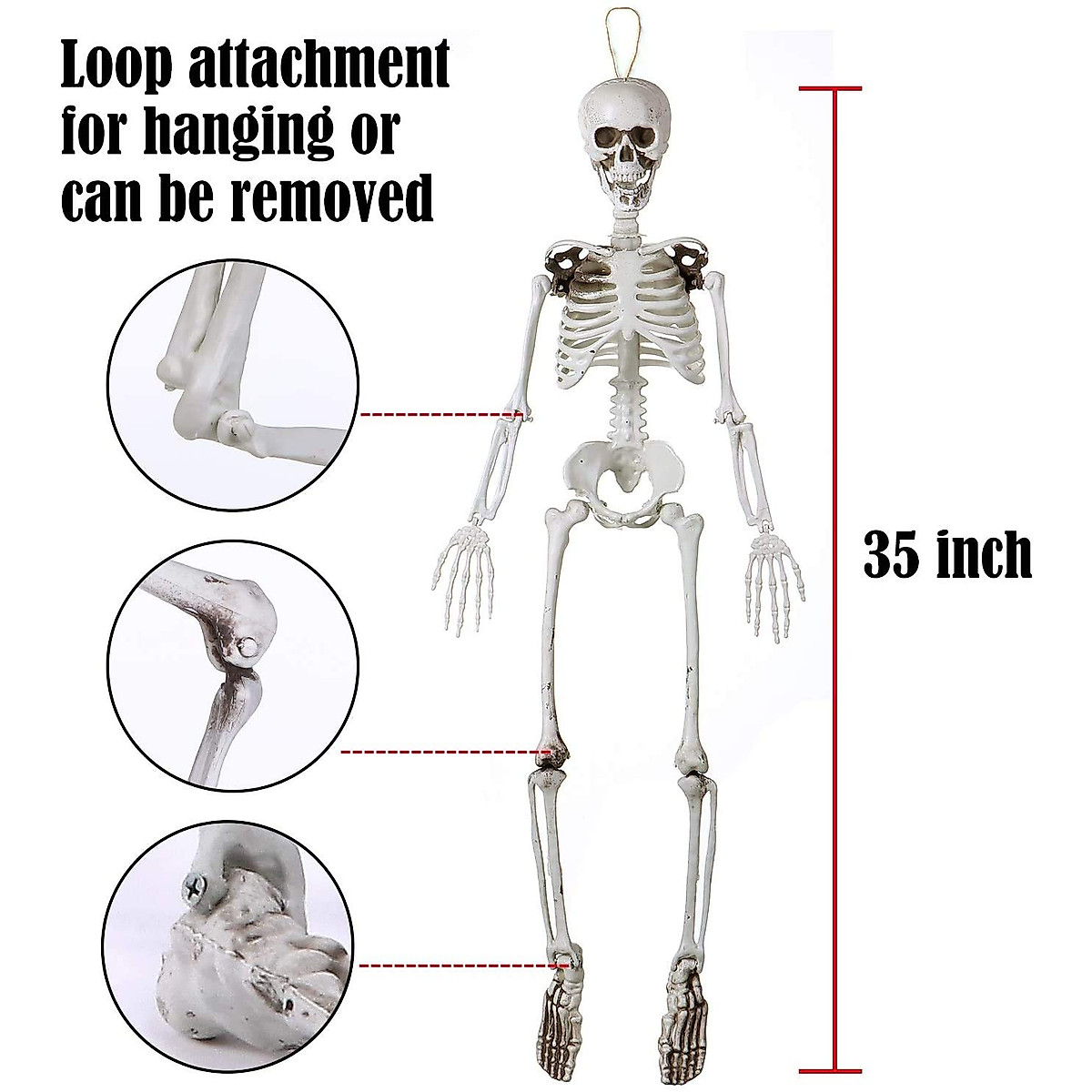 Sizonjoy 35" Posable Halloween Skeleton, Full Body Joints Plastic Skeleton with Movable/Posable Joints,Perfect for Halloween Haunted House Props Decorations Outdoor