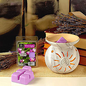 Coco-Soy Organic Wax Melts Perfume-Grade Essential Oils Extracted Natural Flowers Plants Coconut Soy EcoWax Aromatherapy Botanical Collection - Velvet Rose 1-Pack 6 Cubes