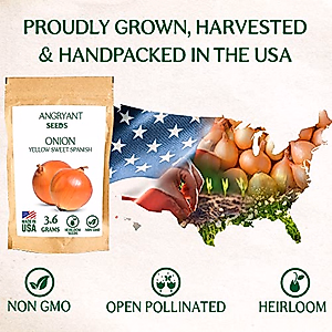Yellow Sweet Spanish Onion Seeds for Planting Indoors and Outdoors - 1600+ Non GMO Seeds Per Packet - 100% USA Grown - Heirloom Seeds for Home Vegetable Garden
