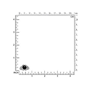 Silvershake 8mm Genuine Round Shape Black Onyx White Gold Plated 925 Sterling Silver Celtic Knot Solitaire Ring Size 9