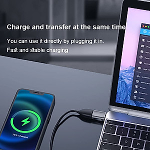 JIALUU USB C to USB Adapter [2 Pack], USB 3.0 Female to USB C Male Adapter, OTG Adapter Female Data Connector, Grey Aluminum Alloy Adaptor for Laptop, PC, Tablet, Cell Phone…