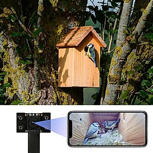 WIWACAM WiFi Bird Box Camera, 4K HD WLAN, Live Video to Phone, Easy Installation to Most of Bird Box Bird House Birdhouse Feeders Nesting, for Robins, Wrens, Tree Swallows, with Night Mode, Recording