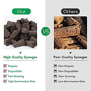 JustSmart 60 Pack Growth Sponges, Replacement Root Growth Sponges Seed Pods Compatible IGS-20SE, Seedling Starter Sponges Kit for Hydroponic Growing System Indoor Garden